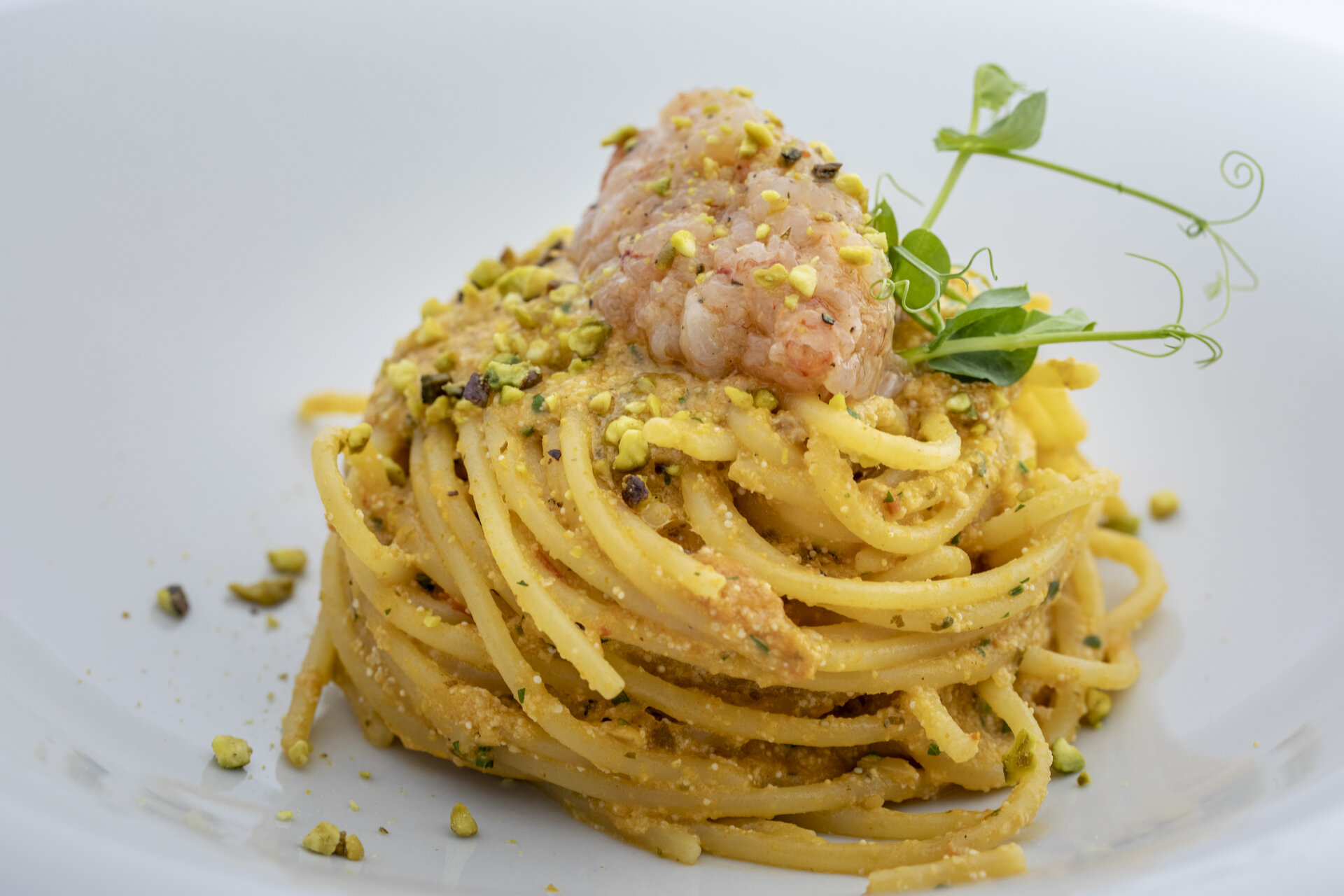 Menu pranzo FronteVilla: carne o pesce, piatti tipici moderni